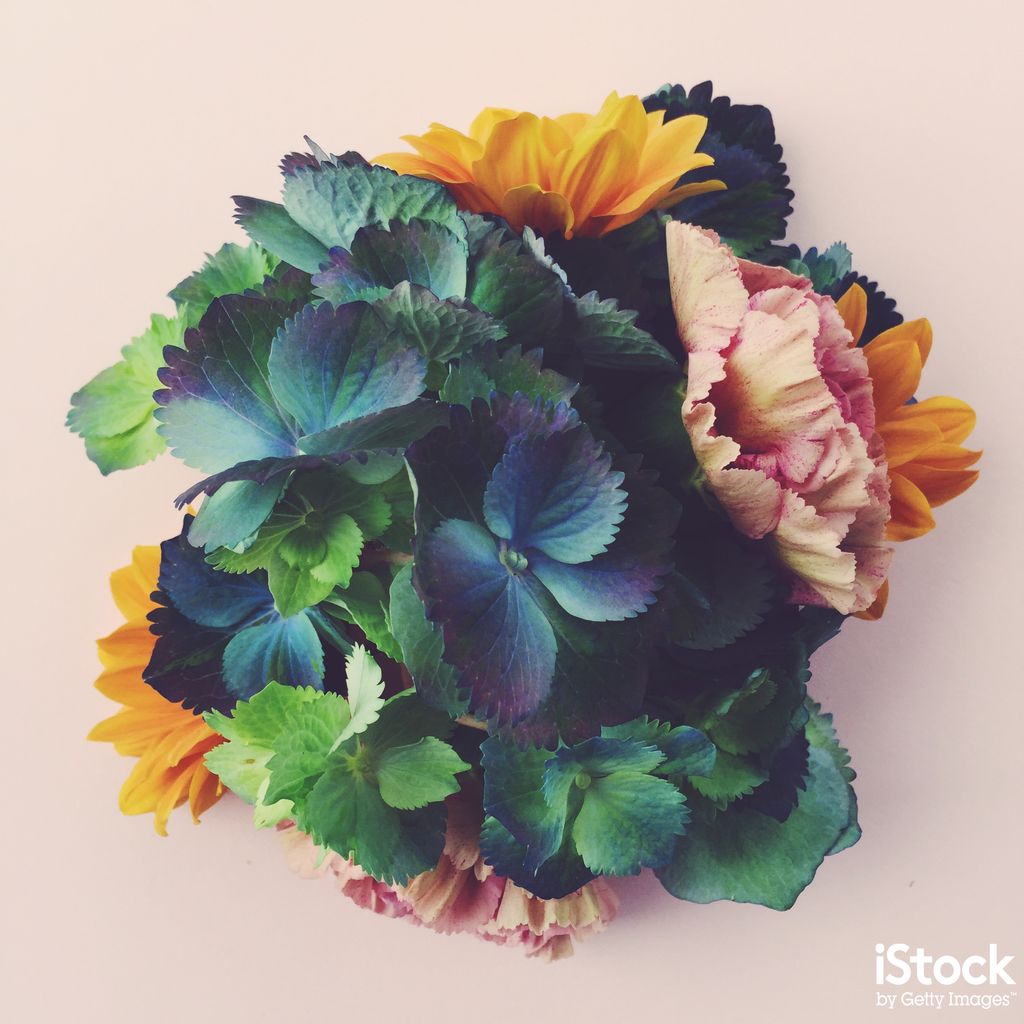 5 reasons not to use free stock images | Creative Bloq