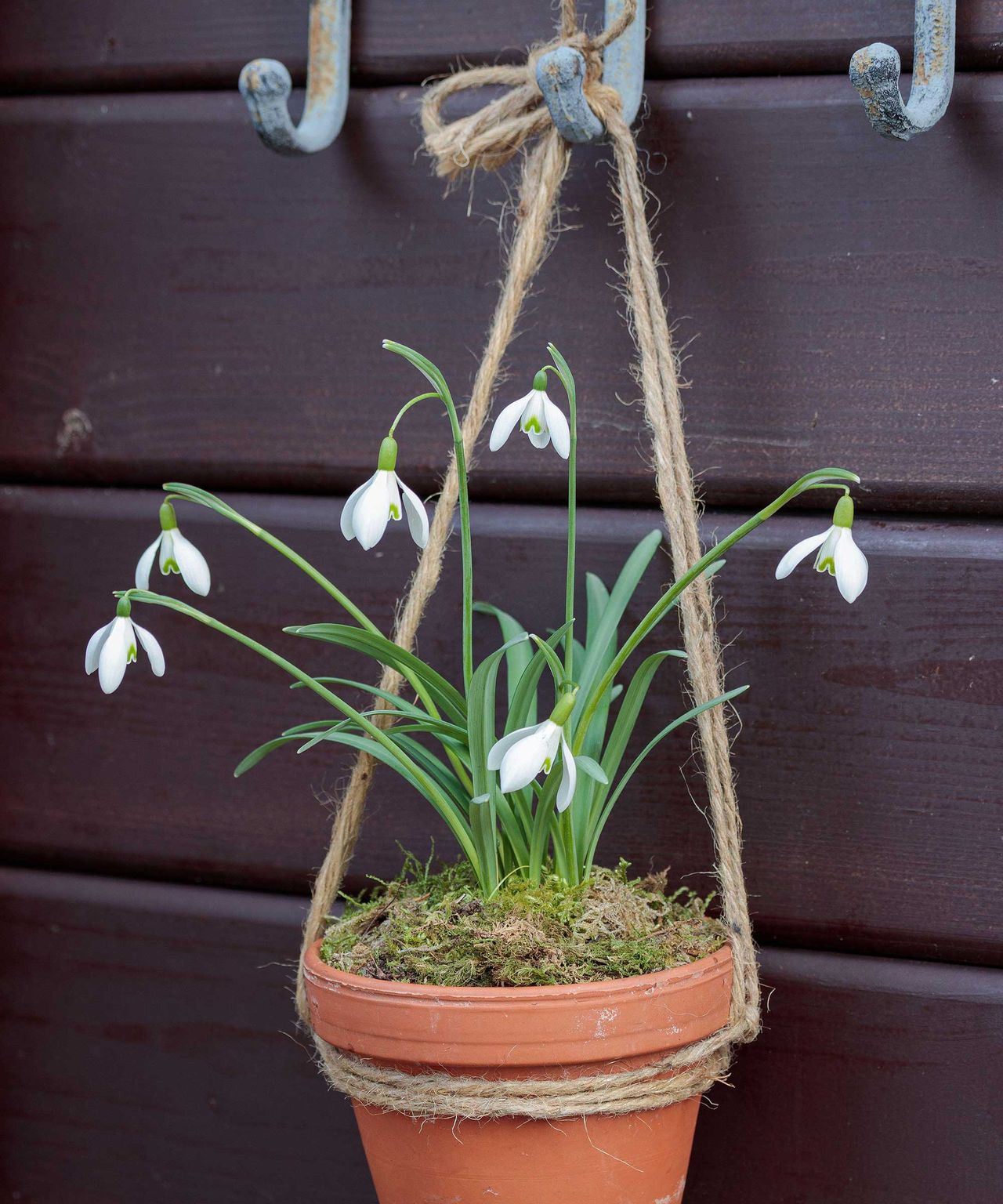 Preparing a garden for spring – 5 tasks for your to-do list | Homes and ...