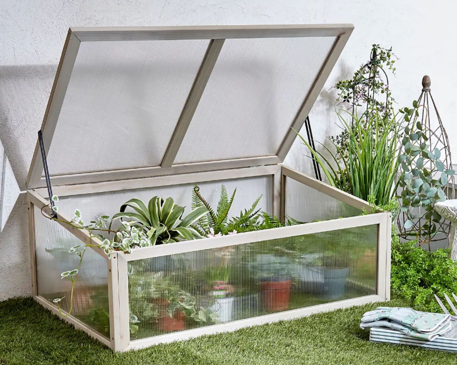 Best mini greenhouse: find the perfect design for your small space ...