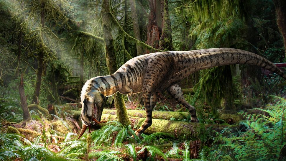 10 jaw-dropping dinosaur fossils unearthed in 2023 | Live Science