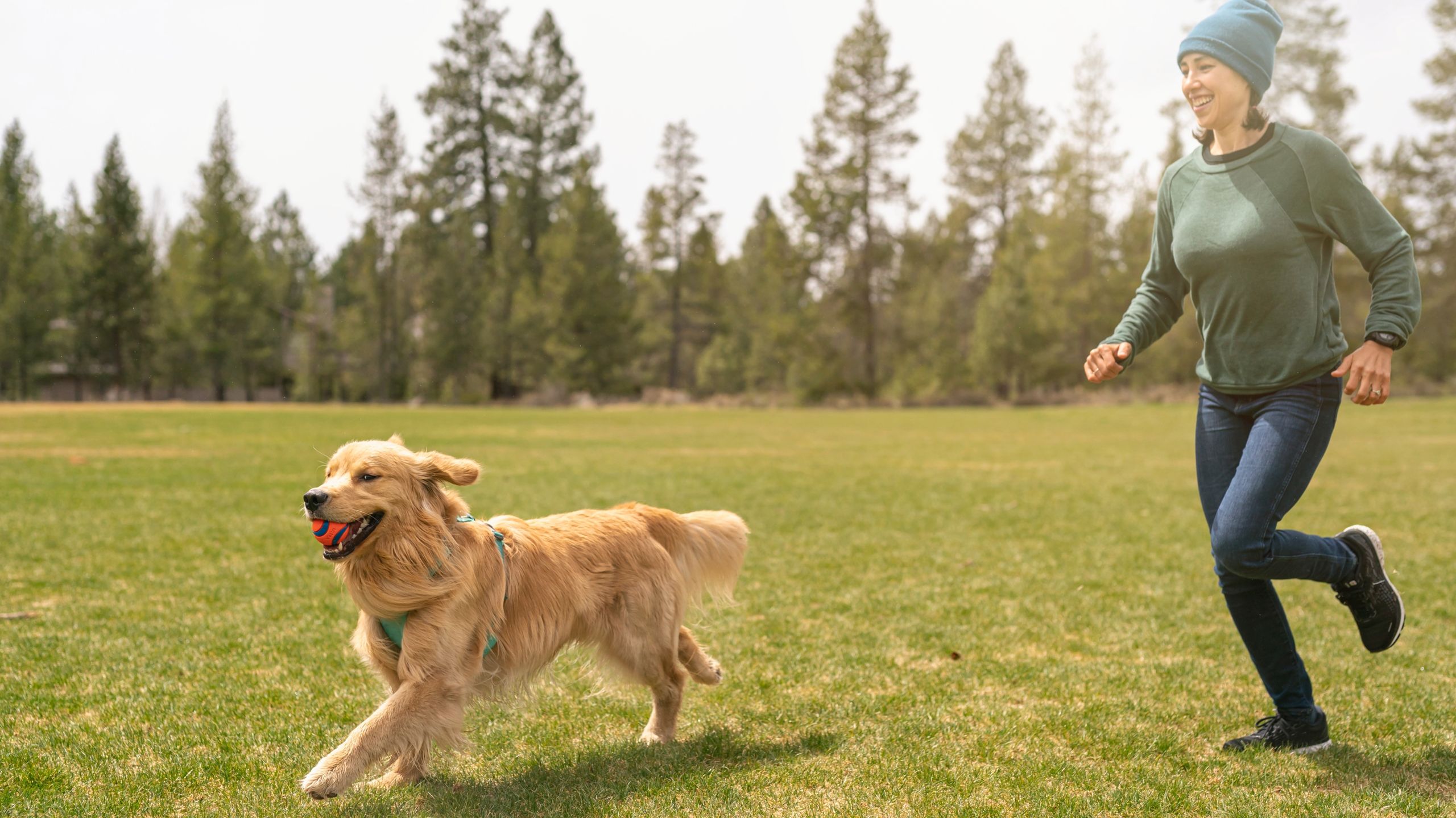 Here’s how to give your reactive or aggressive dog the exercise they ...