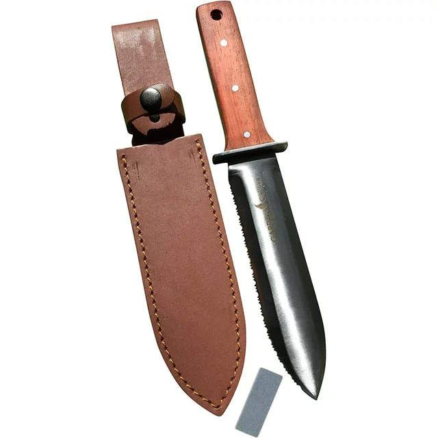 Ornamental grasses to cut back in February - 7 to prune | Homes and Gardens