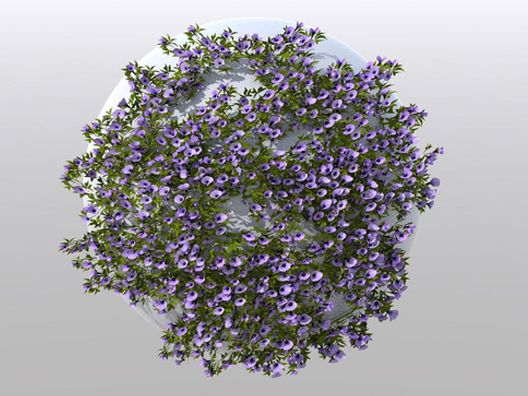 LightWave 3D - "one of the great 3D packages of our time" - is back ...