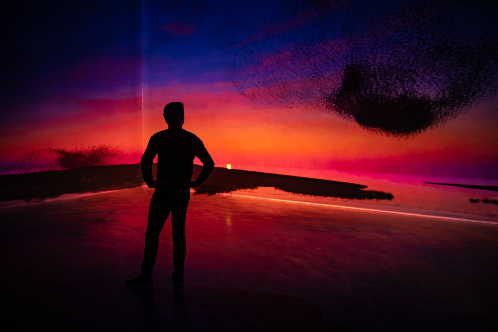 Pink Floyd installation 'Brainstorms: A Great Gig in the Sky' – a first ...