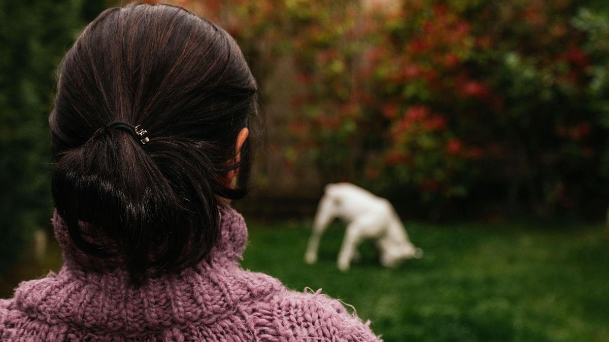 Weird things that dogs do that are actually completely normal | PetsRadar