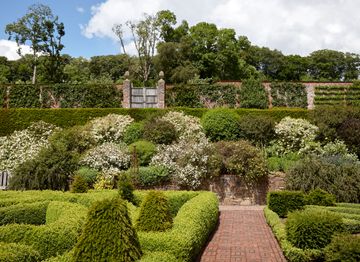Holcombe Court, the 'finest Tudor house in Devon', and the 20-year, no ...
