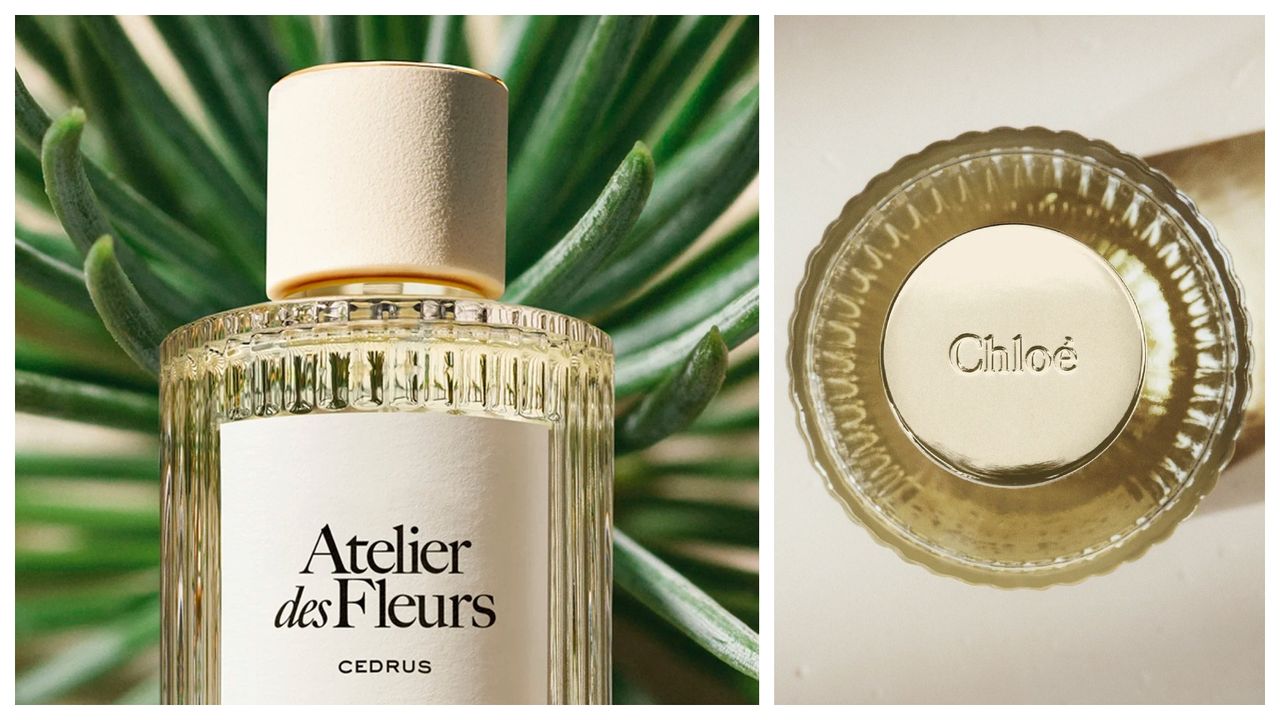 Chloé Atelier des Fleurs Cedrus Eau de Parfum Review | Marie Claire