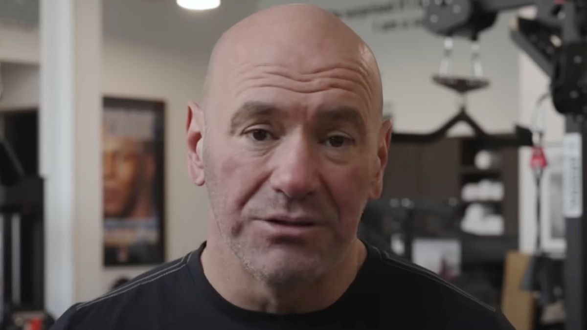 UFC Boss Dana White Is 'Not Thrilled' About Jake Paul Fighting Mike ...