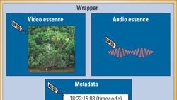 Professional video and film file formats | TV Tech
