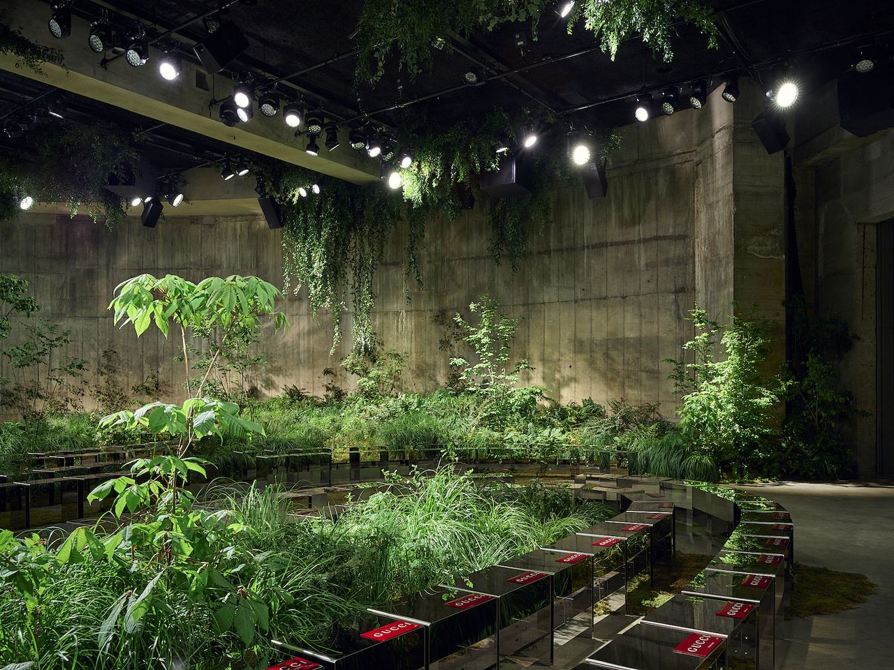 Gucci Cruise 2025: first look at the plant-filled show set | Wallpaper*