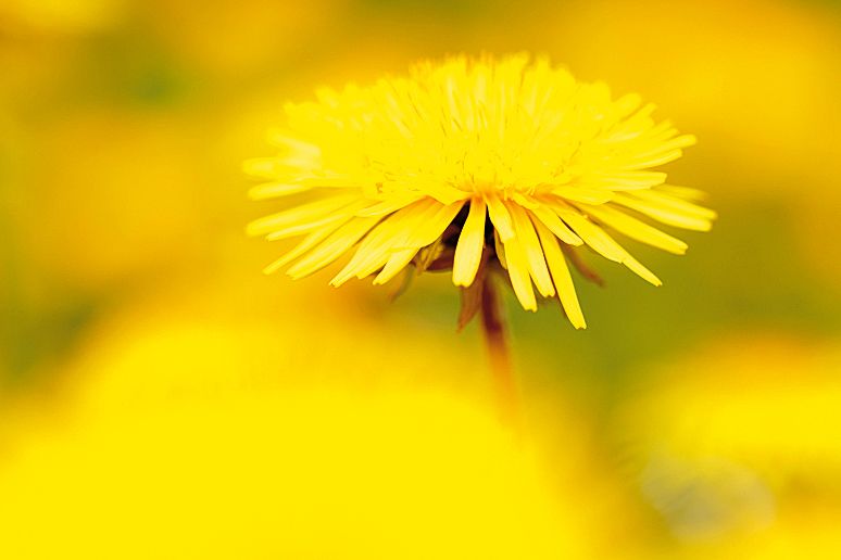 10 reasons why your photos aren't sharp (and how to fix them) | TechRadar