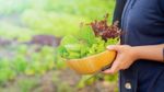 Best drought-tolerant vegetables: crops for dry conditions | Homes and ...