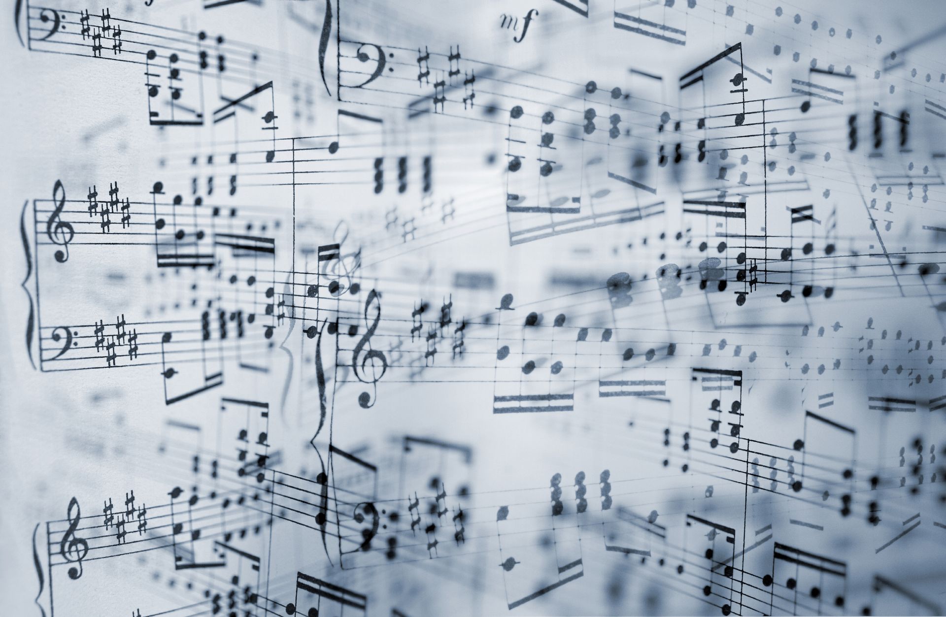 This language is based only on whistles | The Week