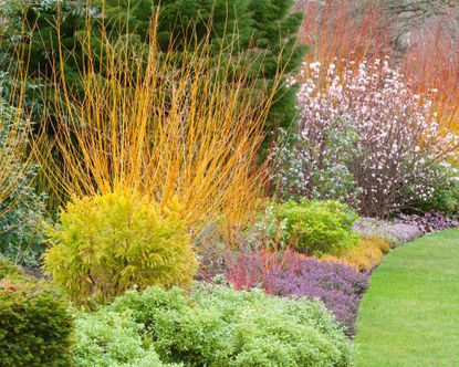 Winter landscaping ideas: 10 enchanting looks for the coldest months of ...
