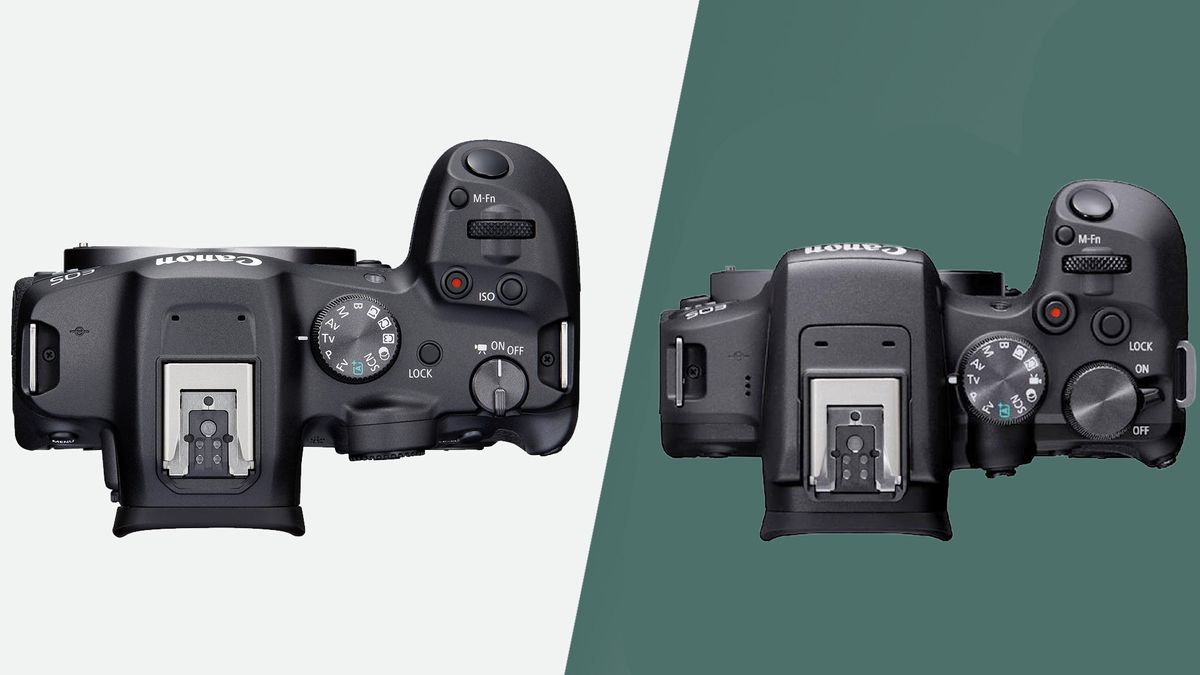 Canon EOS R7 vs Canon EOS R10: which mirrorless camera should you buy ...