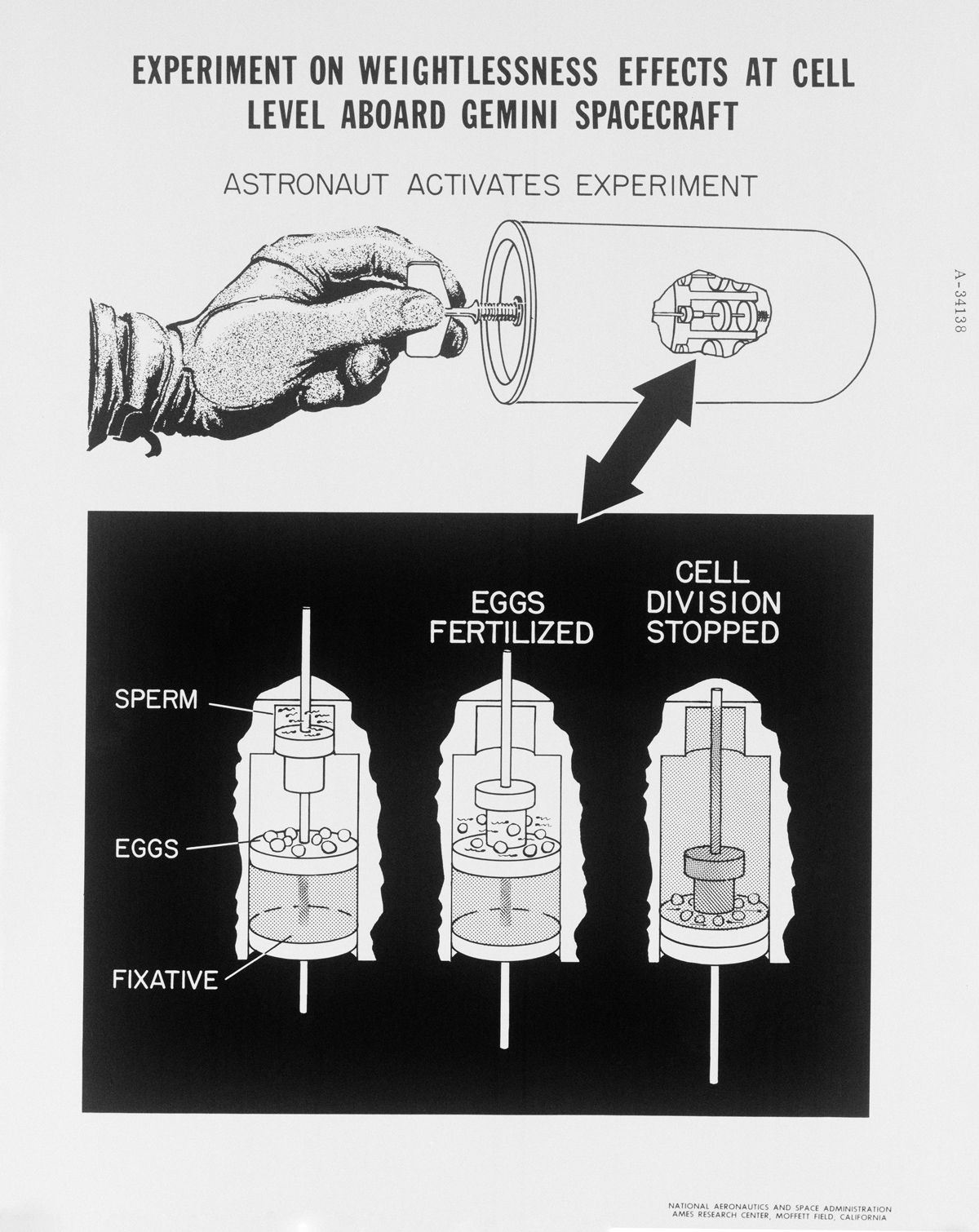 Gemini 3 in Photos: The 1st Crewed Flight of NASA's 2-Person Spaceship ...