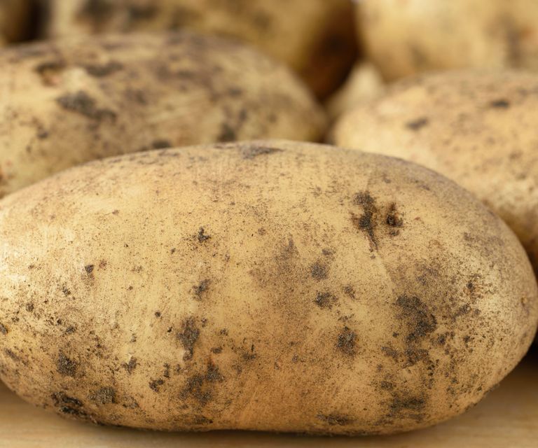 Best potato varieties: 12 top crops for your vegetable patch | Homes ...