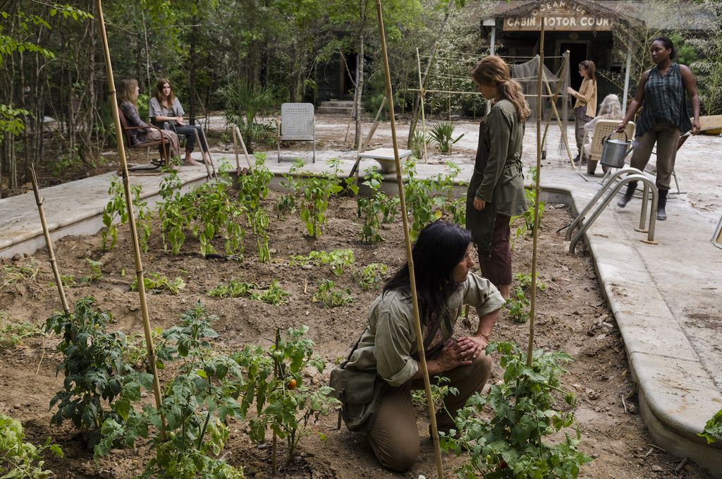 After a Zombie Apocalypse, Here Are 9 Keys to Rebuilding a Civilization ...