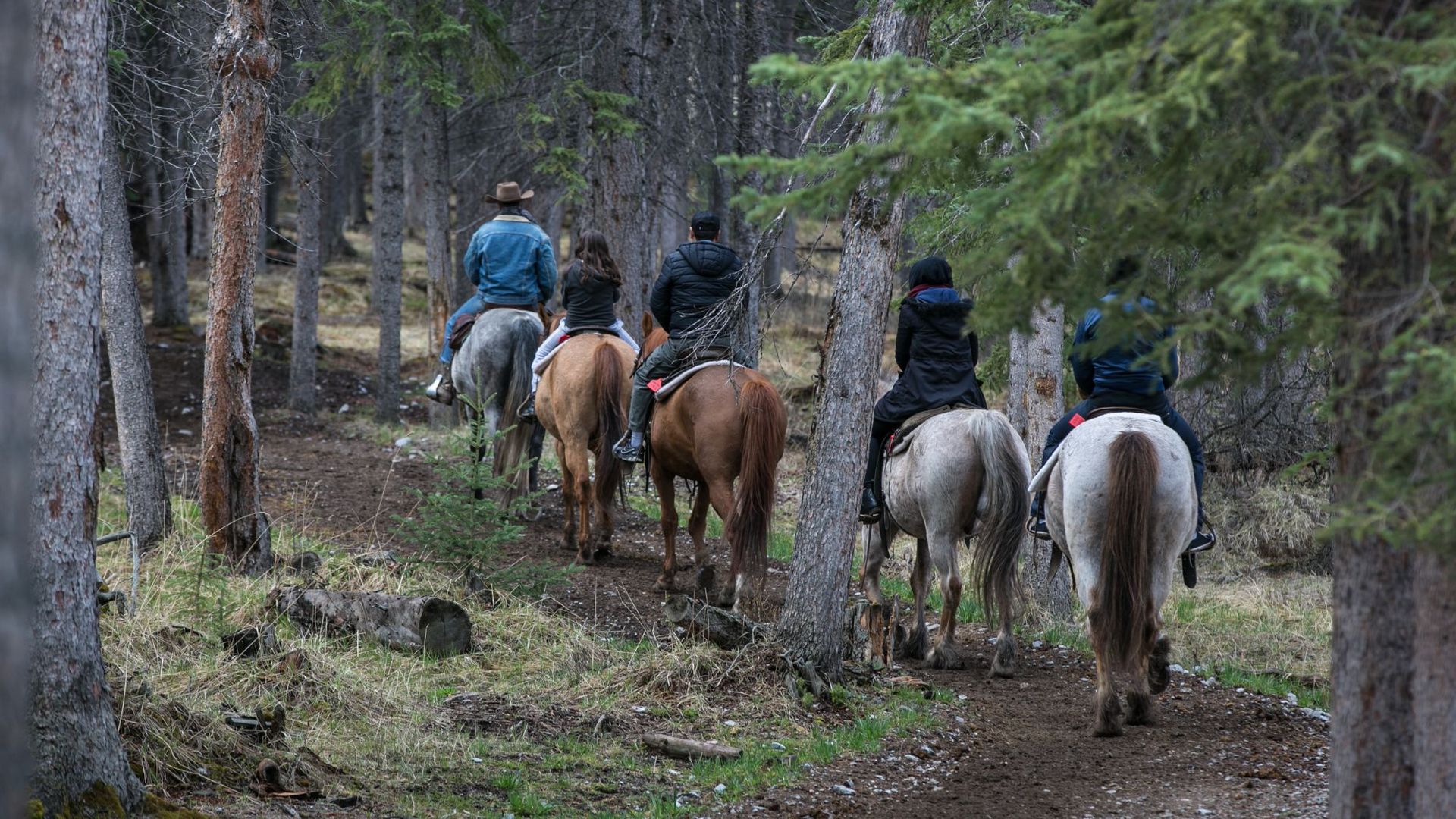 Trail riding in the Canadian Rockies | The Week