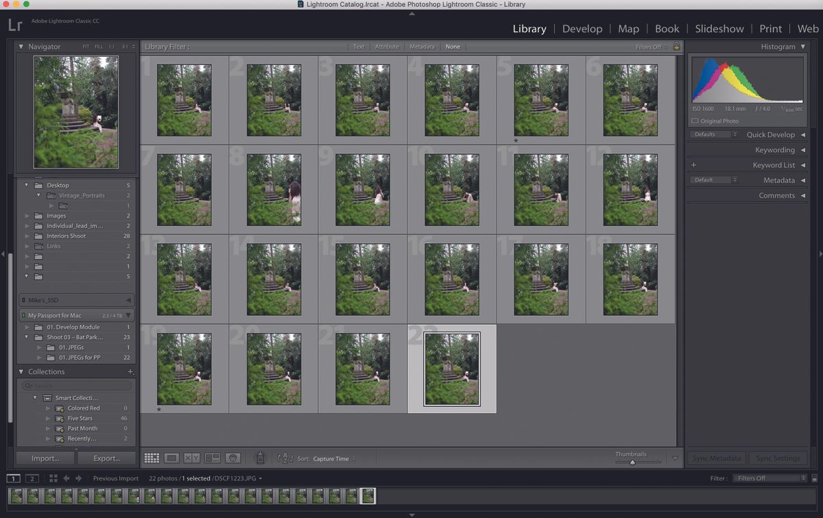 How to use Lightroom Classic: learn basic adjustments and use the Develop Module | Digital ...