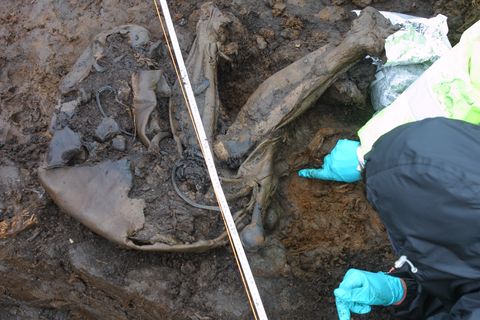 Oldest 'Bog Body' Found with Skin Intact | Live Science