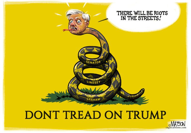 5 scathing cartoons about Lindsey Graham's 'rioting in the streets ...