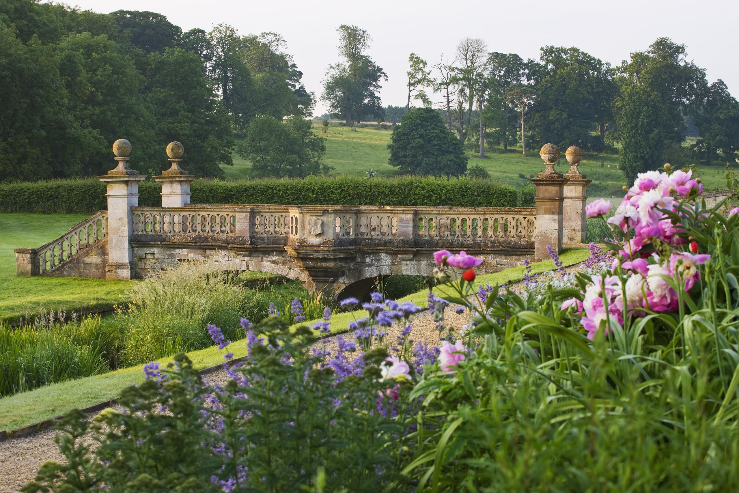 'A dream of Nirvana... almost too good to be true': The sweet peas of ...