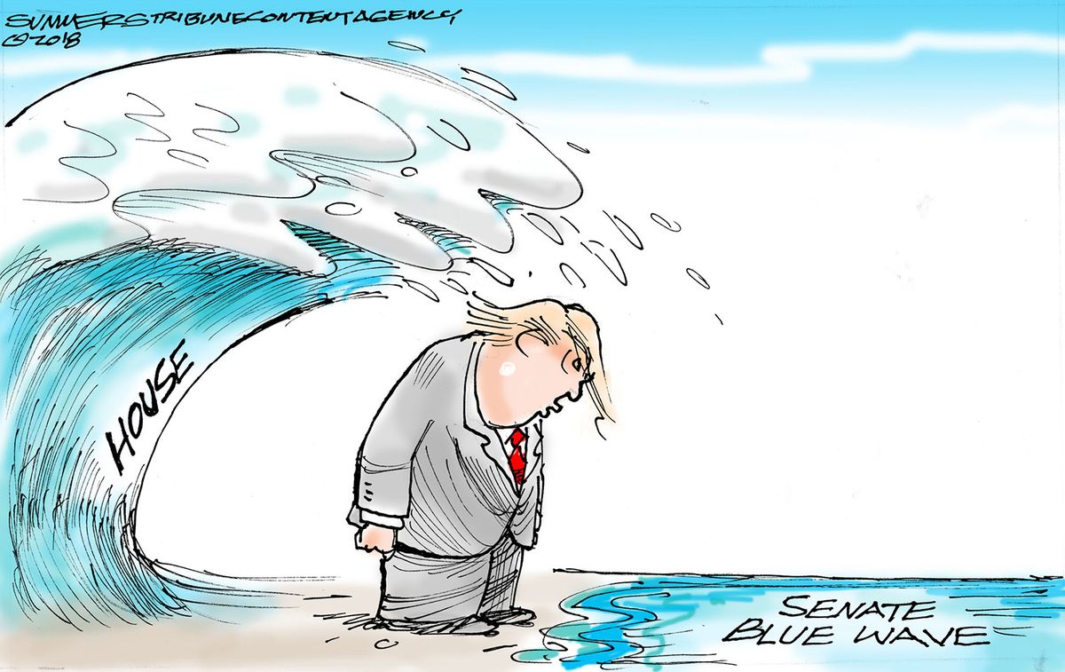 U.S. Trump midterm elections Trump blue wave House majority Senate no ...