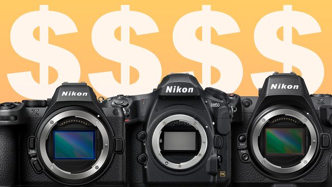 Street photographer Bill Cunningham's archive finds a permanent home at ...