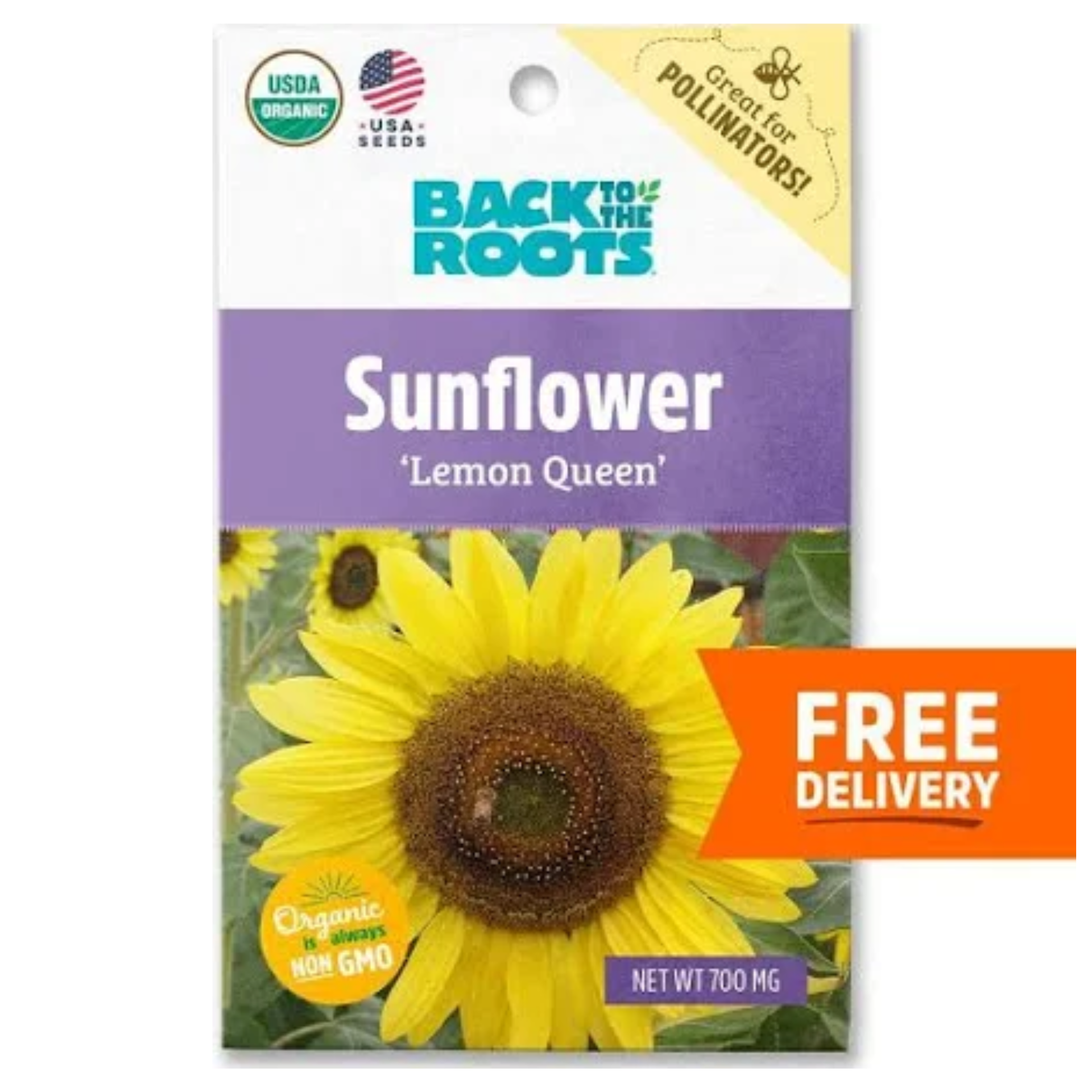 6 Fast-Growing Flower Seeds to Plant for a Blooming Backyard | Livingetc