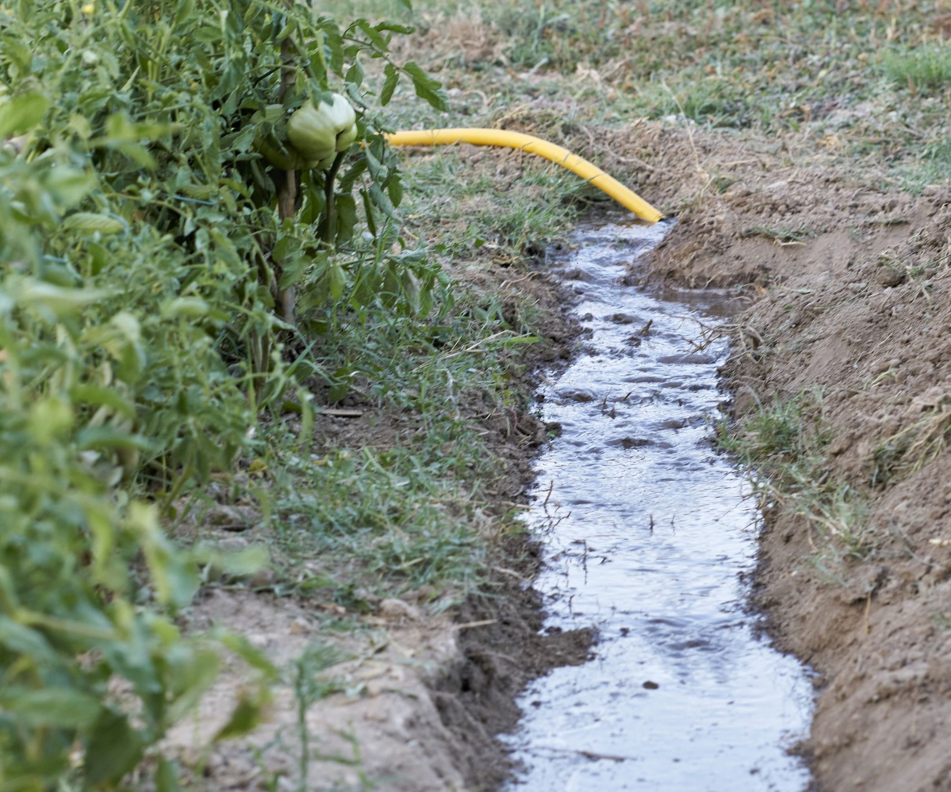 French drain mistakes and how to avoid them | Homes and Gardens
