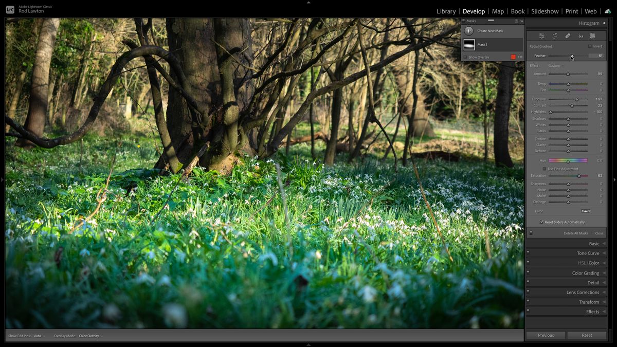 Lightroom hack #08: Radial gradient relighting | Digital Camera World
