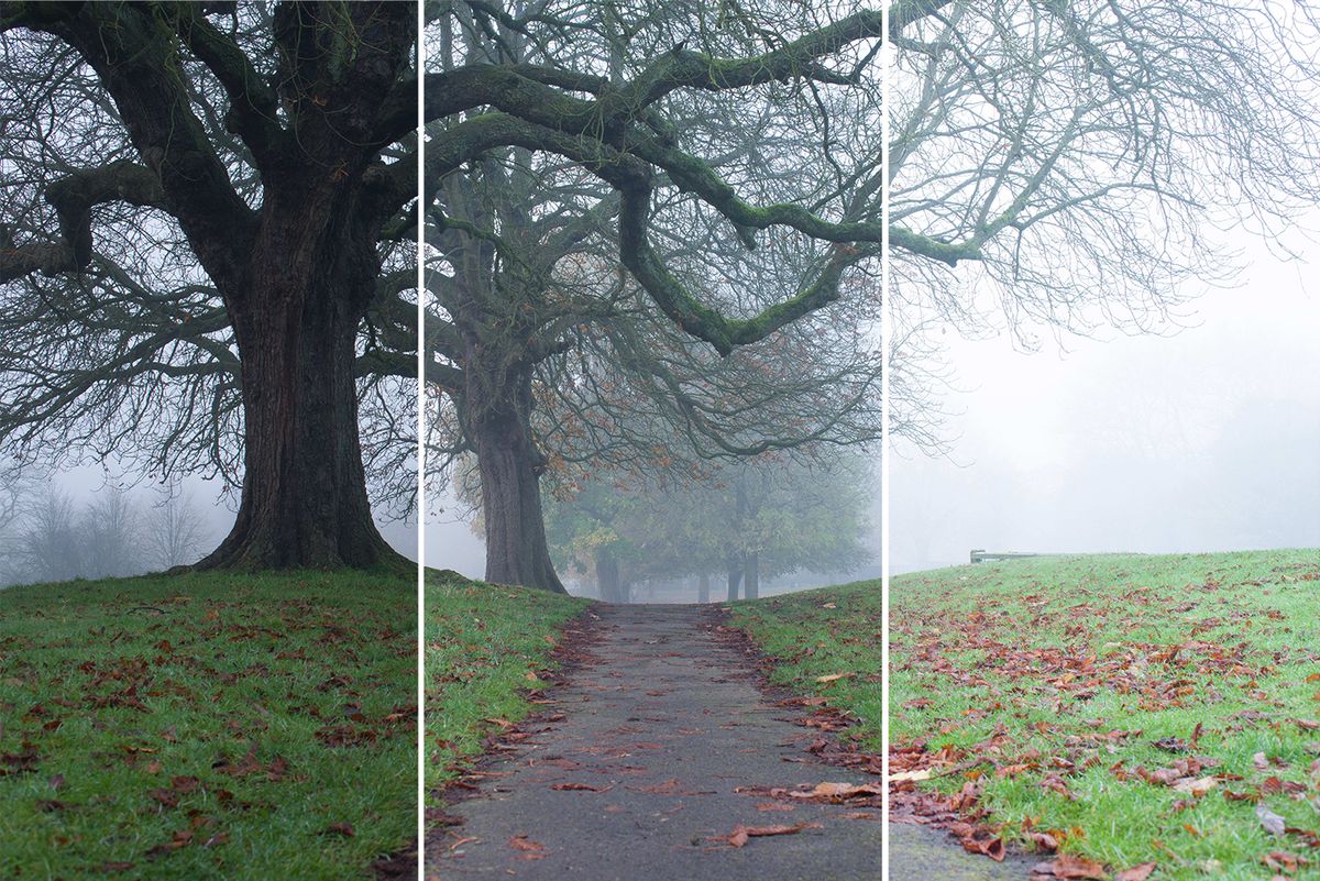 How to capture photographs of a misty scene | Digital Camera World