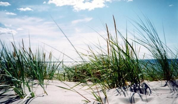 7 Common Summer Health Concerns | Live Science