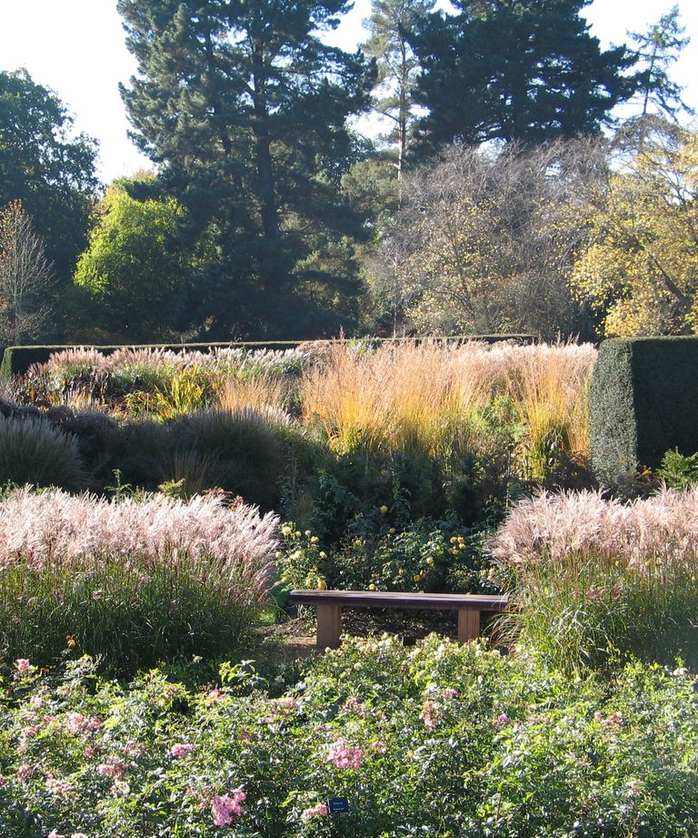 5 dramatic ways garden design has changed in four years | Homes and Gardens