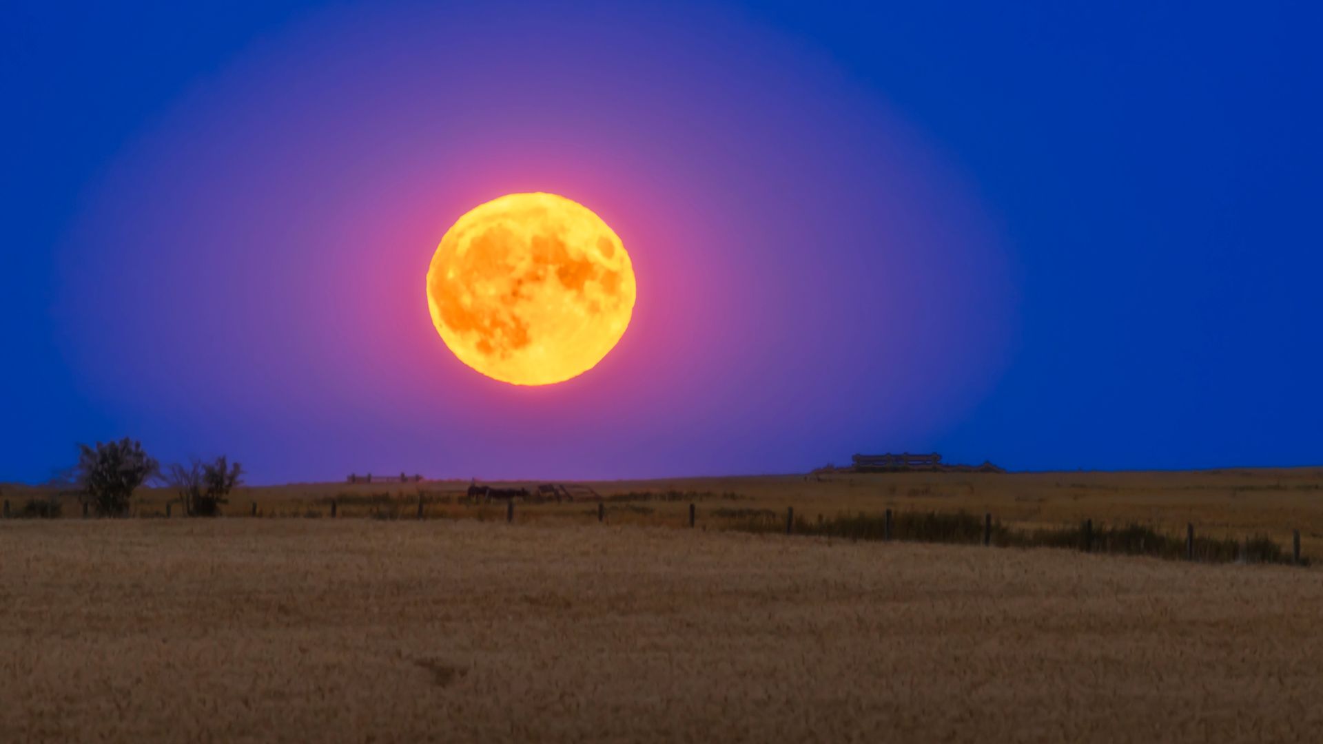 Buck Moon 2025: How to spot one of the lowest full moons of the year ...