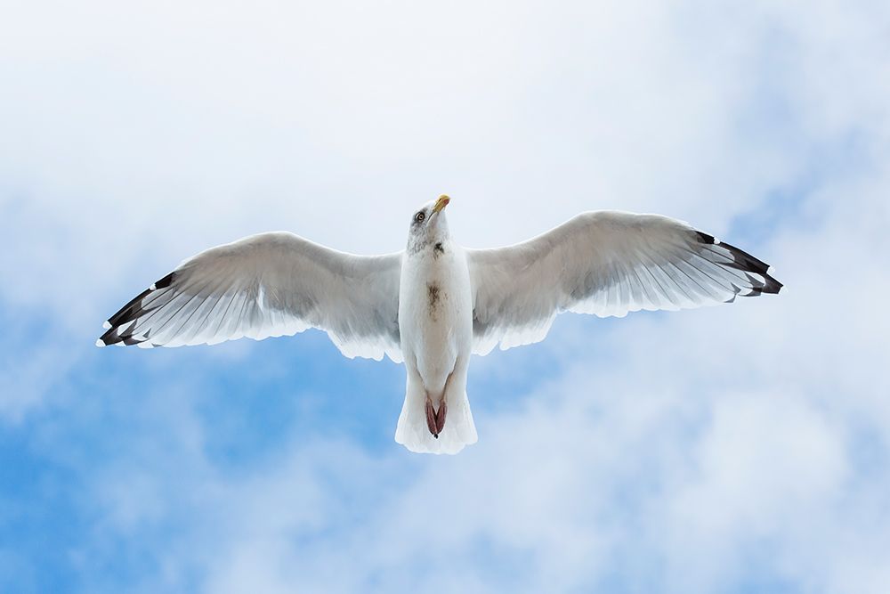 Photographer Oskar Proctor in profile | Wallpaper