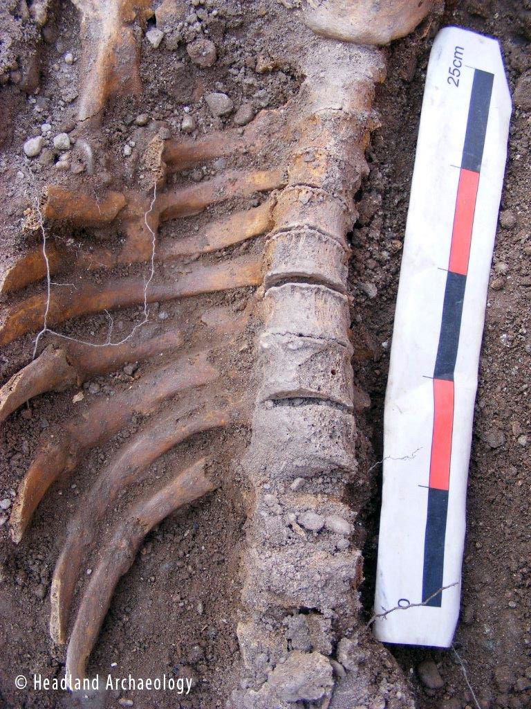 Battered Remains of Medieval Knight Discovered in UK Cathedral | Live ...