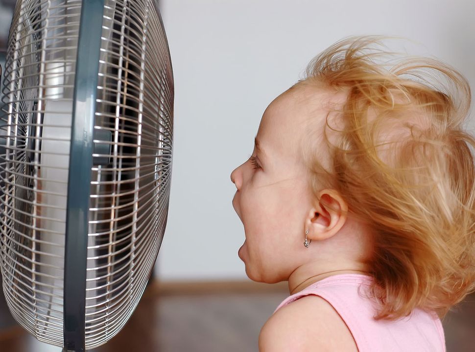 Why Does a Breeze Feel Cool? | Why Is Wind Cold? | Live Science