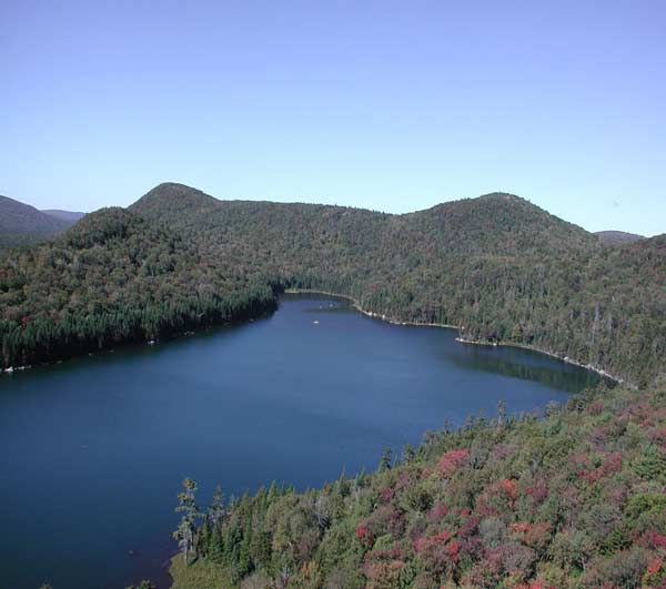 Acid Rain Adirondacks
