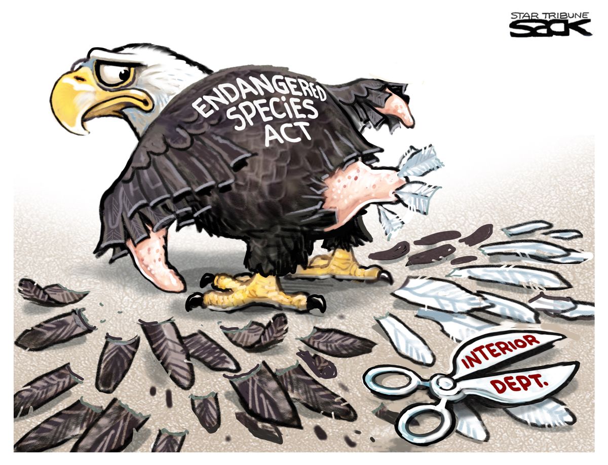 Political Cartoon Endangered Species Act Bald Eagle Interior Department ...