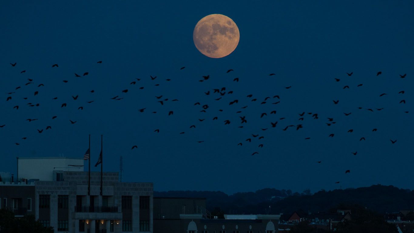 October's full 'Hunter's moon' of 2021 wows skywatchers (photos) | Space