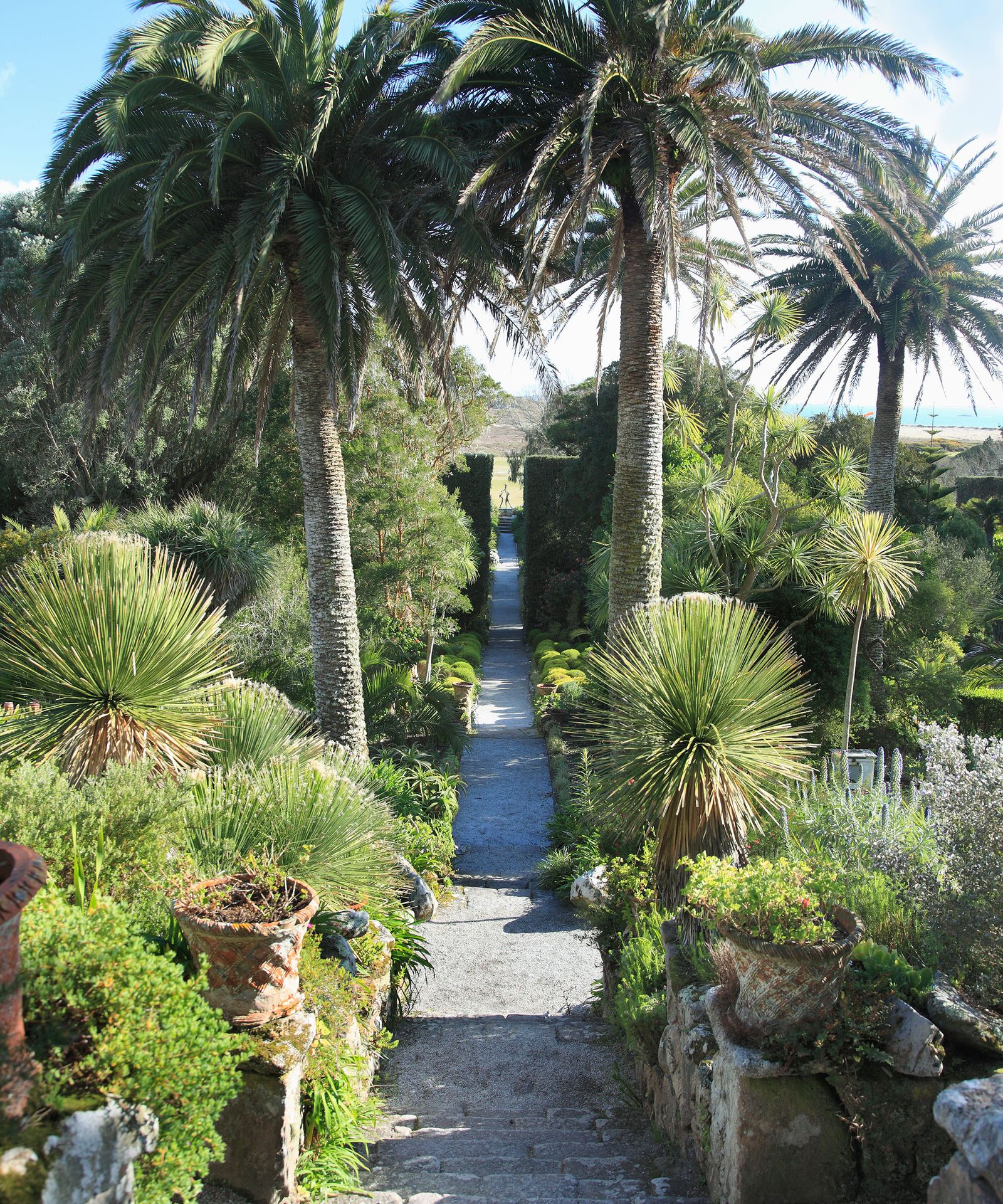 How to create a Mediterranean garden: design inspiration | Homes and ...