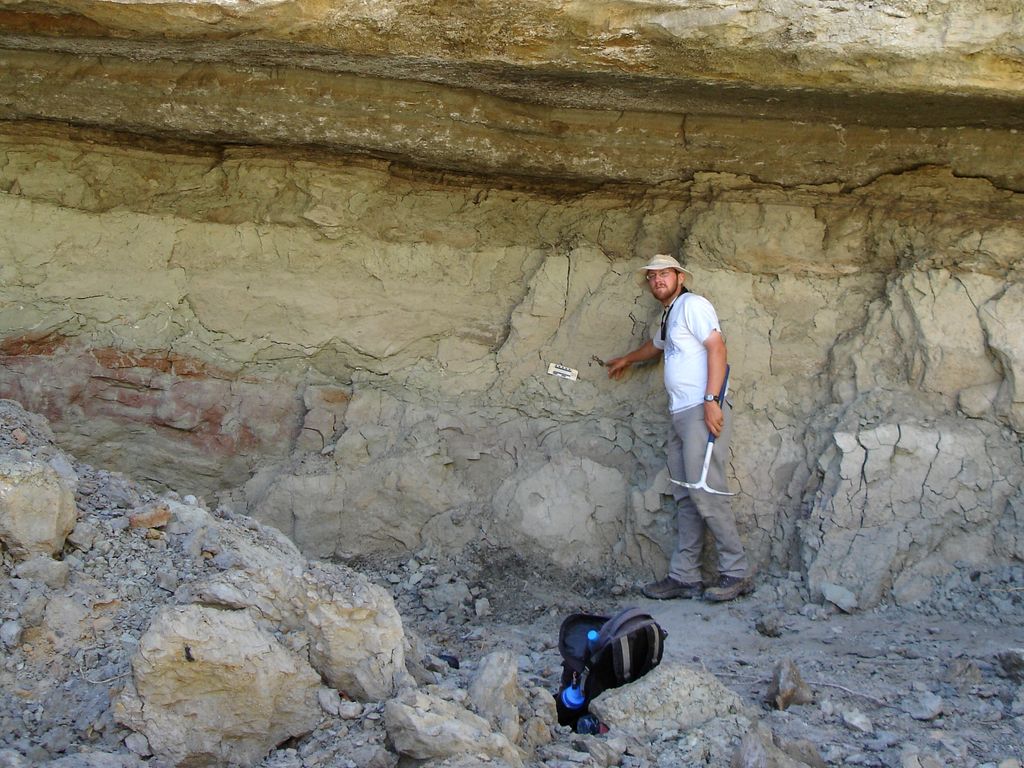 New Meat-Eating Dinosaur Species Found | Dahalokely tokana | Live Science