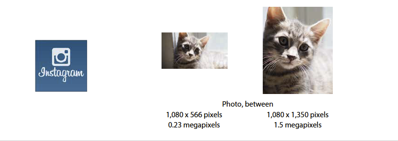How Many Megapixels Do You Really Need? - Tom's Guide | Tom's Guide