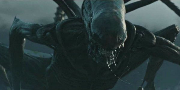 Every Way A Xenomorph Can Kill You In The Alien Movies | Cinemablend