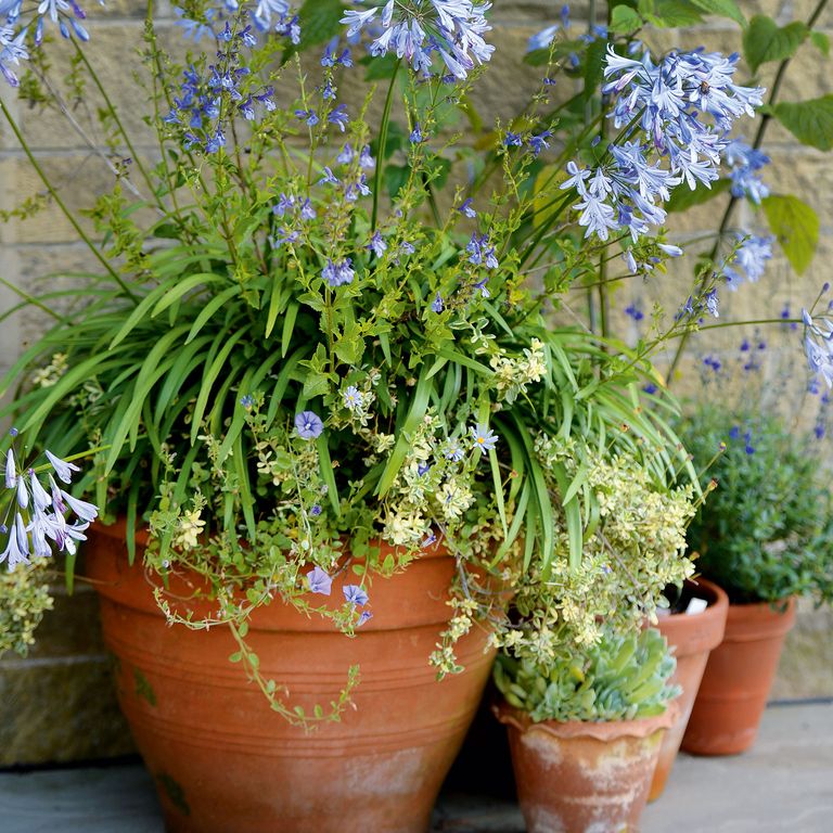 How to arrange pots in the garden - 5 things to consider | Ideal Home