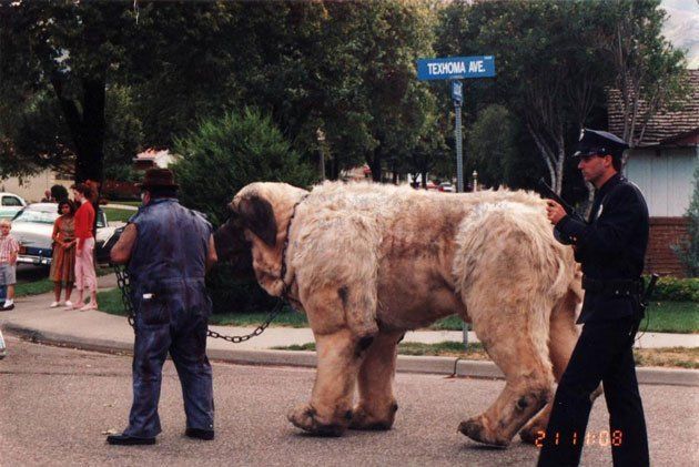 What The Beast From The Sandlot Looked Like Behind The Scenes | Cinemablend