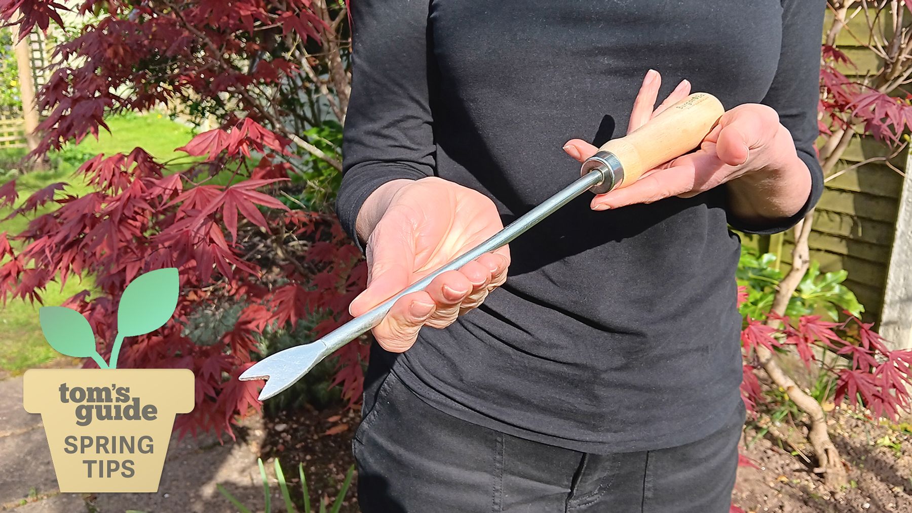 This weeding tool has rid my yard of dandelions — and it's under $20 ...