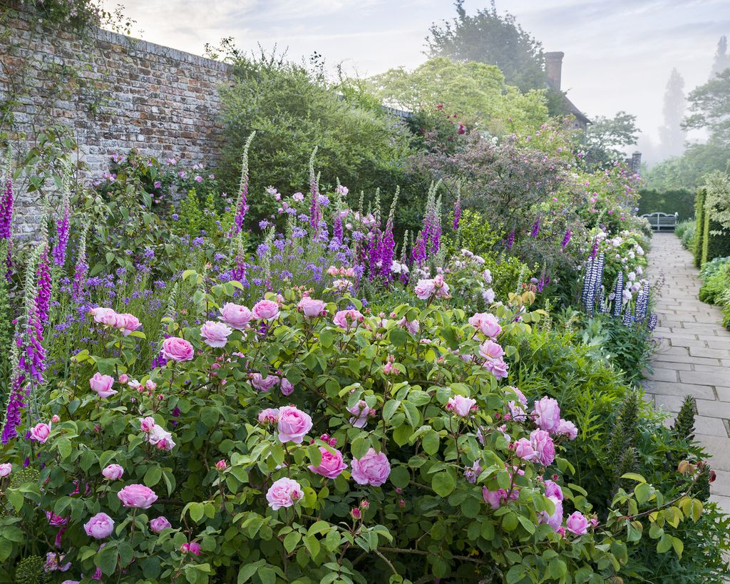 Landscaping with roses: 9 expert ways to use them | Gardeningetc